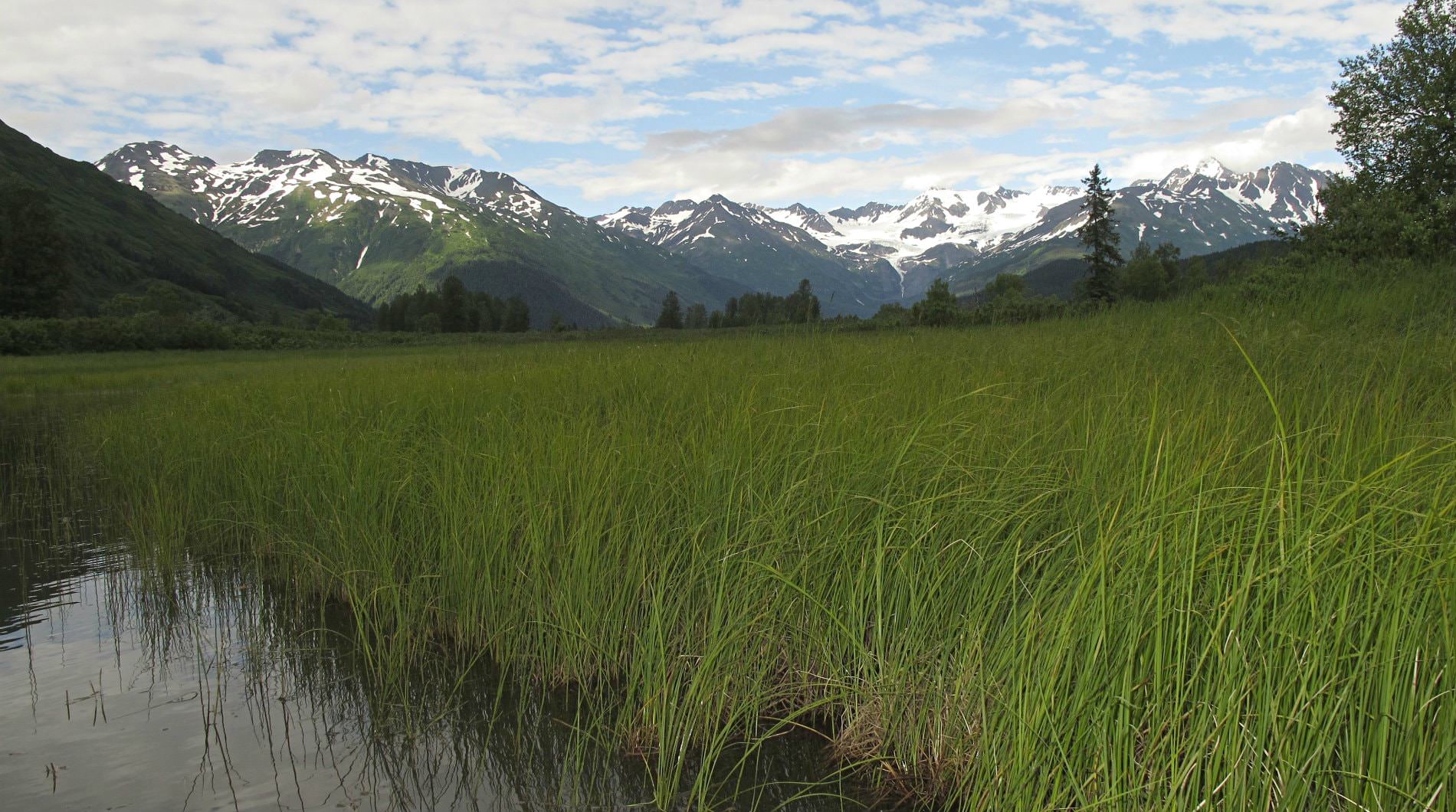 The Alaska Botanical Garden: A Year Round Delight